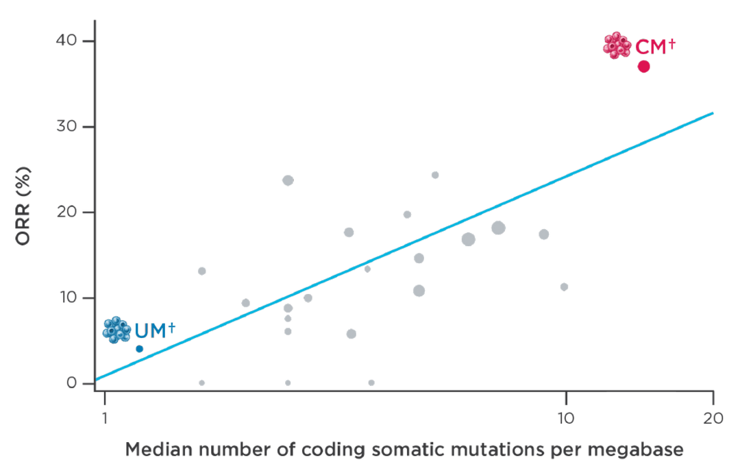 Identify mUM Burden Differences vs mCM with Our Chart